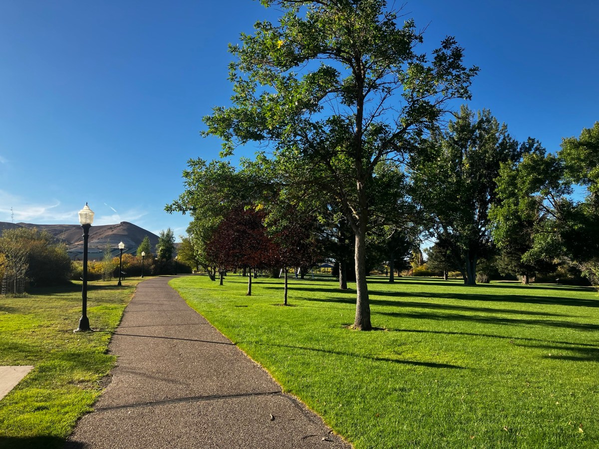 Collier Park – H. J. Roderick